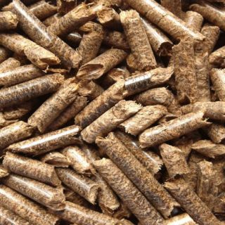 CO2 Biomass - We Provide Biomass Products Globally